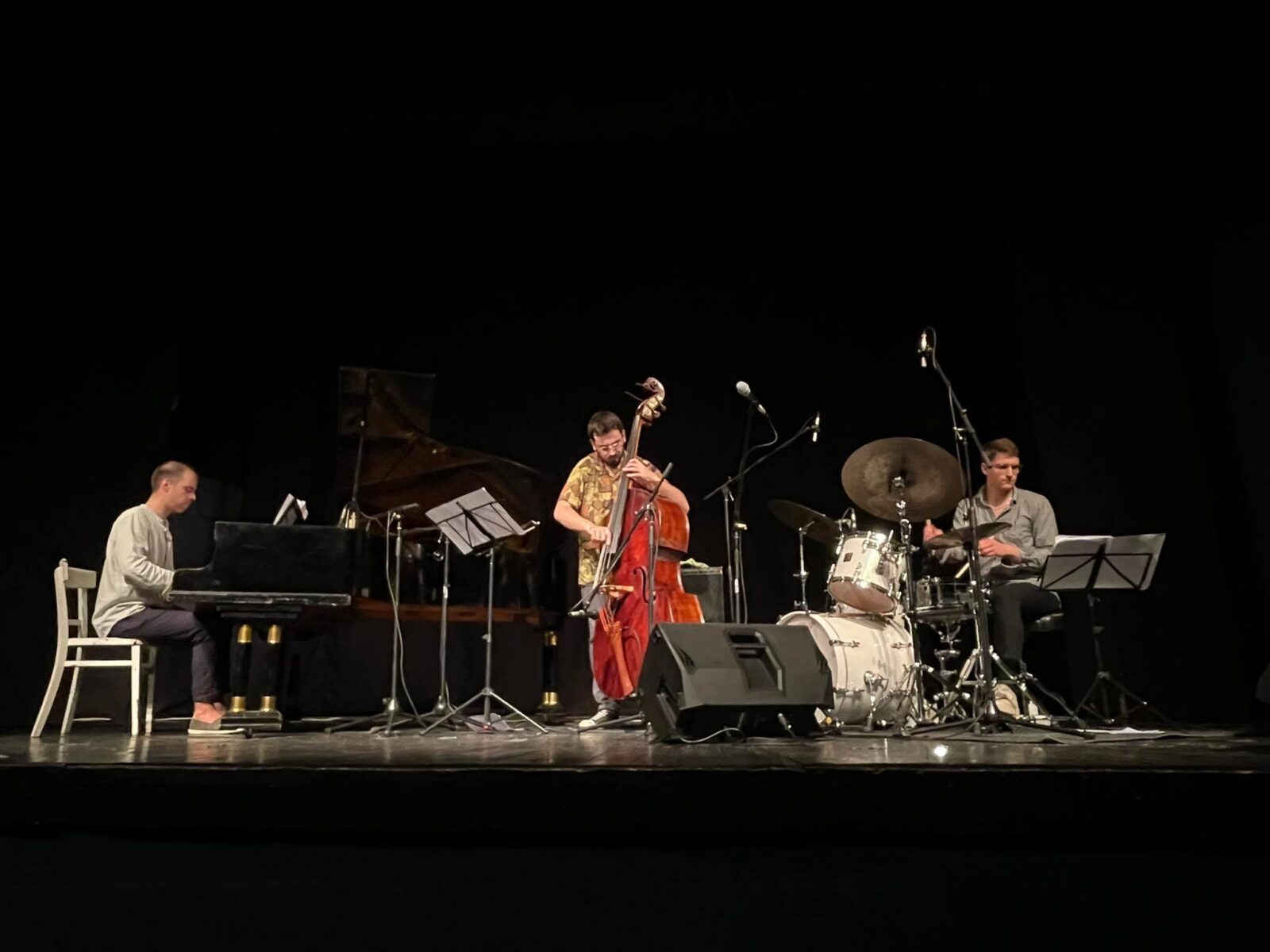 "Miloš Čolović trio" održao džez koncert u zaječarskom pozorištu
